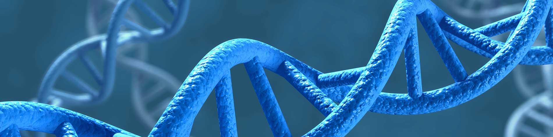 Gene expression and transcriptome analysis - QIMA Life Sciences