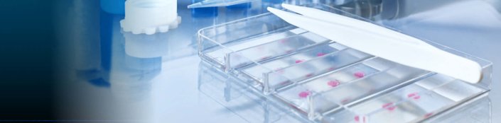 Sample and slide preparation - Histology - QIMA Life Sciences