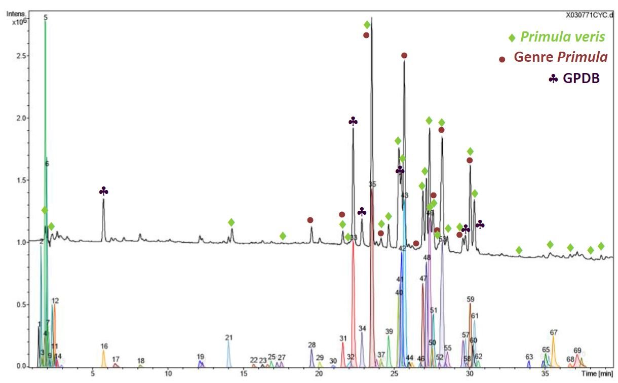 GAINS: Phytochemical Analysis of Plant Extract & Metabolic Profiling