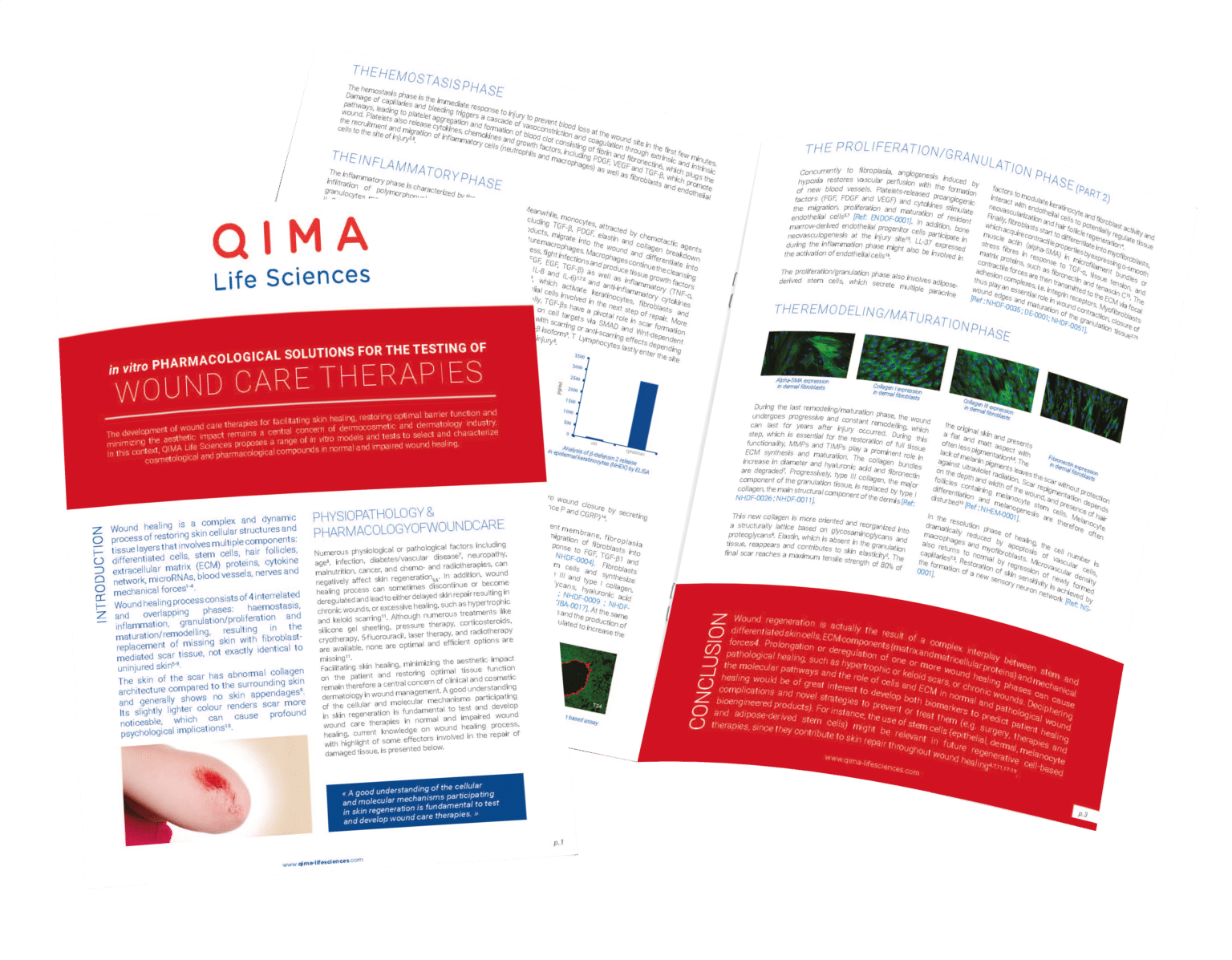 In Vitro Pharmacology - Drug Discovery & Development