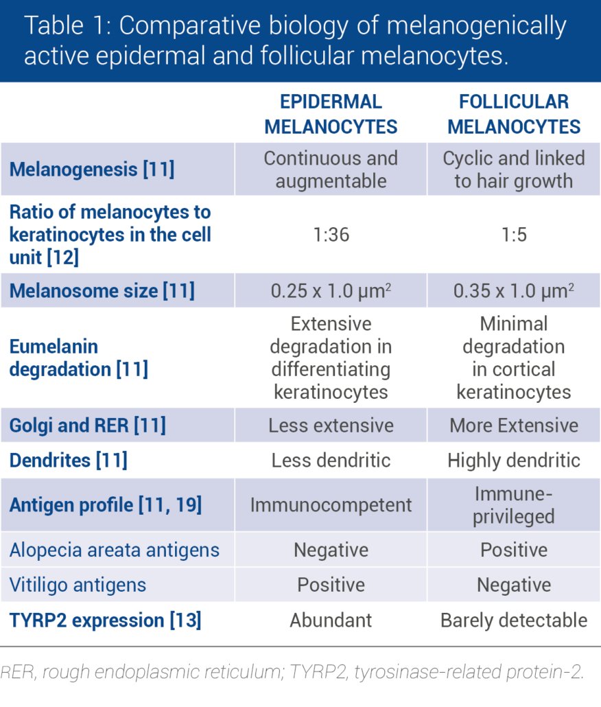 Canities and hair pigmentation - in vitro assays - QIMA Life Sciences