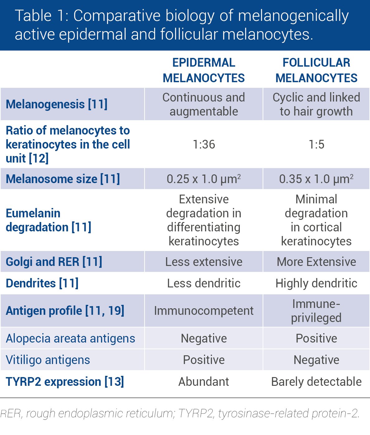 Canities and hair pigmentation - in vitro assays - QIMA Life Sciences