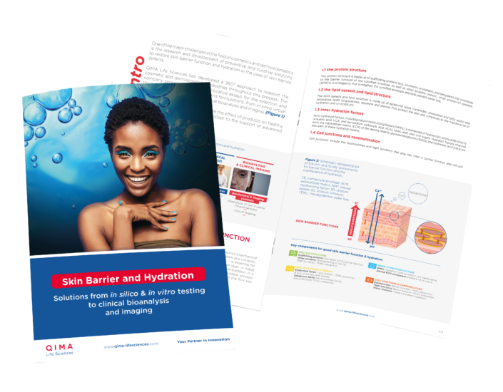 NHEK In Vitro Model in Cosmetics Testing | Bioalternatives