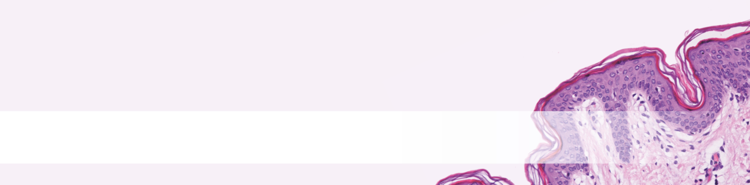 Human skin explant - QIMA Life Sciences