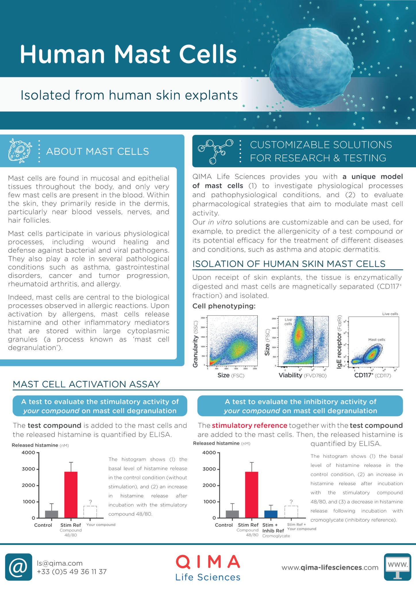 Immune-Inflammation - QIMA Life Sciences