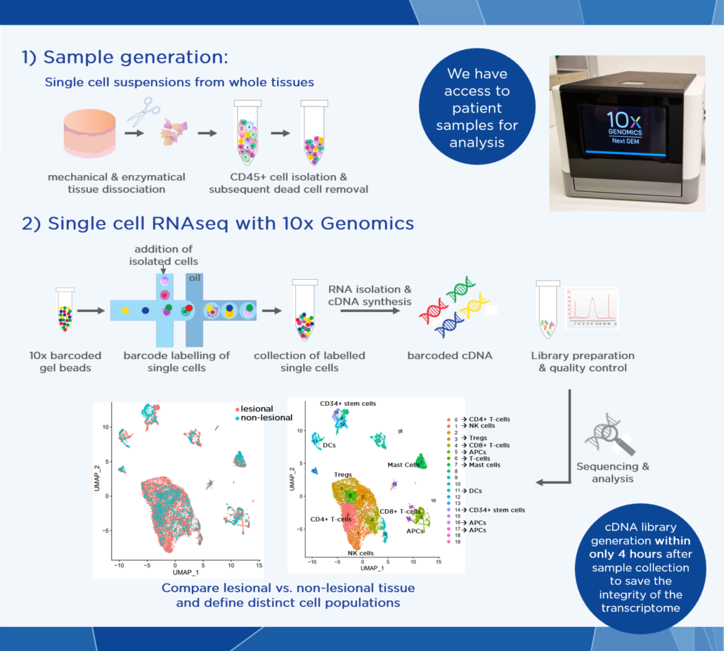 Single cell RNAseq