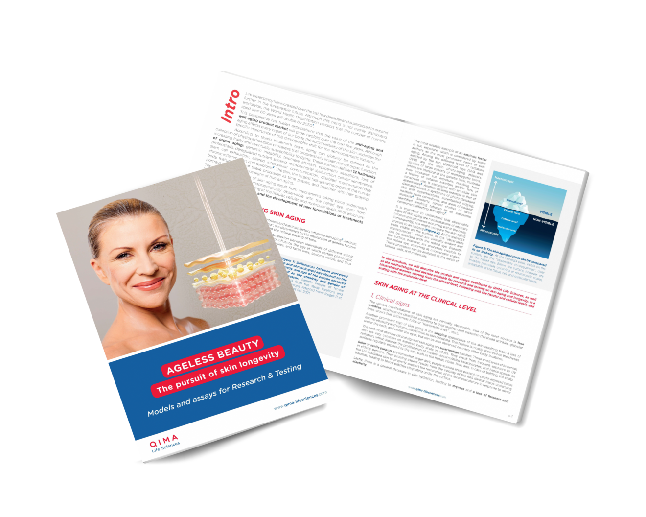 Skin Longevity and Aging: A New Narrative in Cosmetics