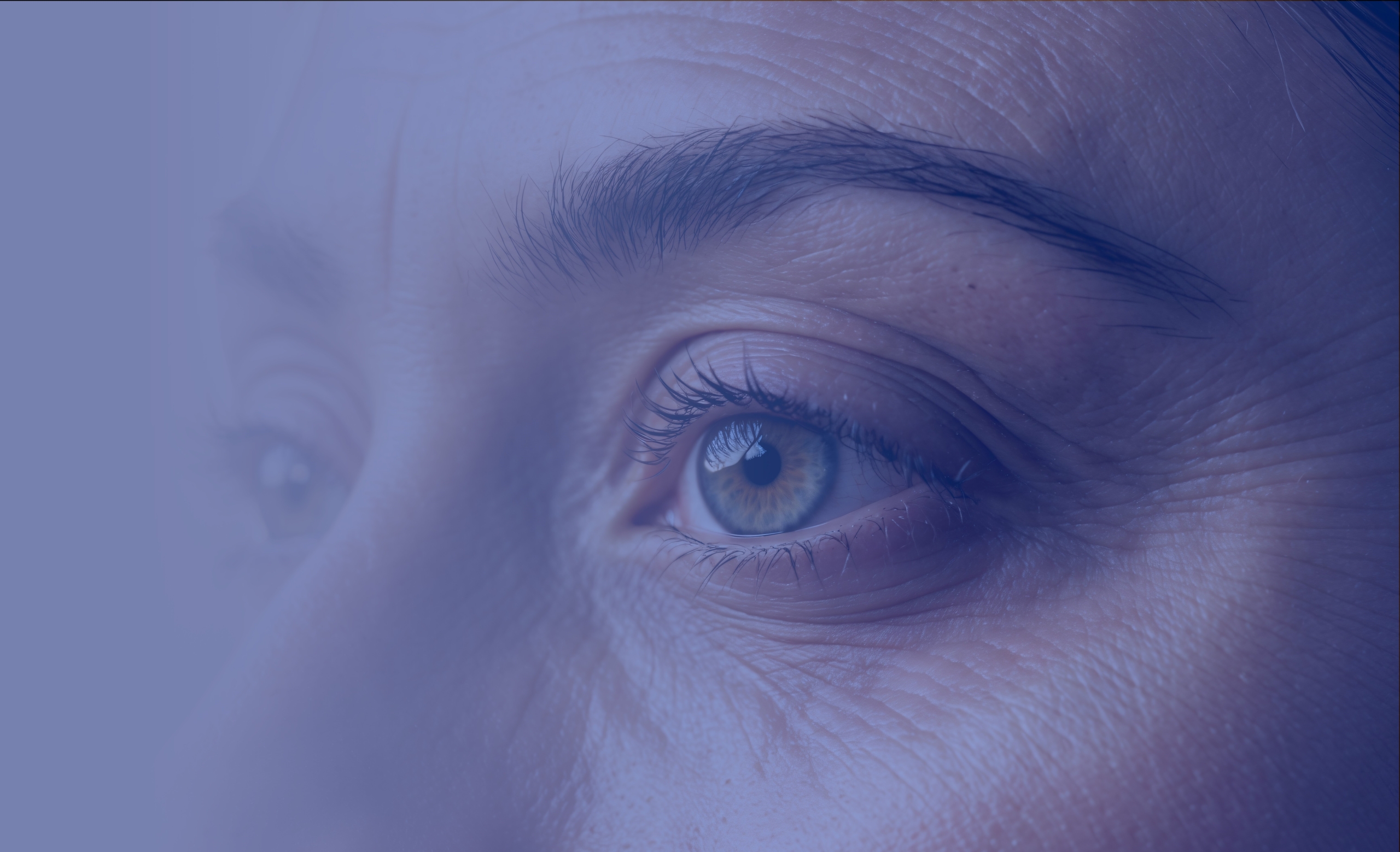 Innovating Wrinkle Grading using AI-powered SCAWA Scales