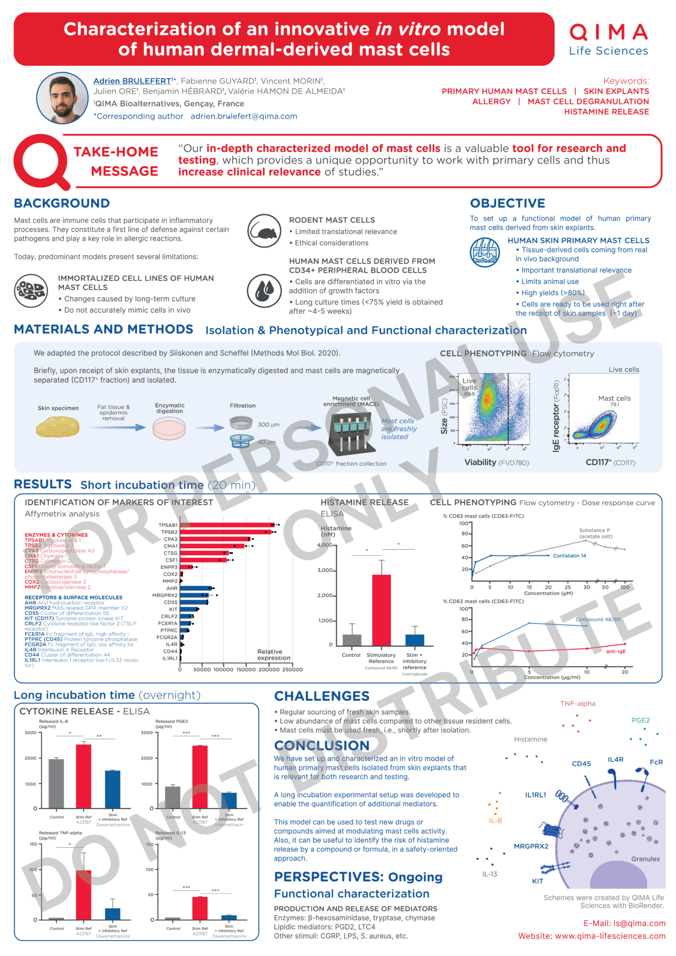 Human mast cells in vitro model | QIMA Life Sciences