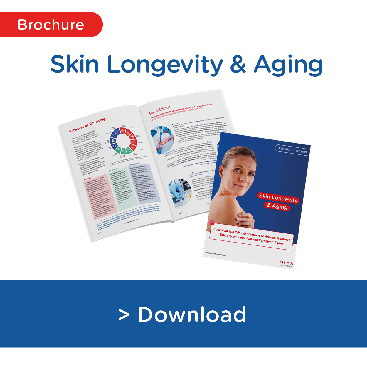 Preclinical research CRO, in vitro bioassays - QIMA Life Sciences